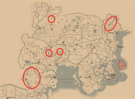 A Guide to the Red Dead Redemption 2 Map - Manchesterjournal