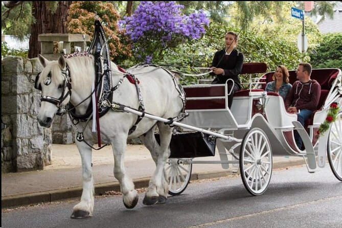 Timeless Elegance: WonderDays' Horse and Carriage Ride - Manchesterjournal