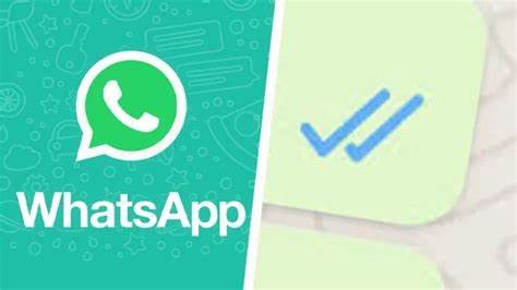 WhatsApp's One Grey Tick: Meaning and FAQs Explained - Manchesterjournal