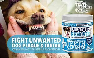 Plaque Off for Dogs a Comprehensive Guide - Manchesterjournal